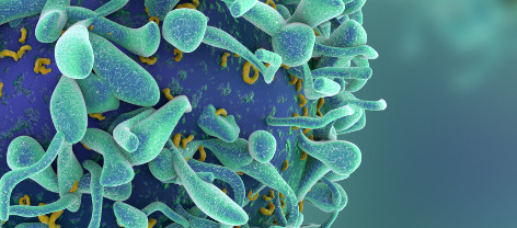 Welcome to sterna biologicals